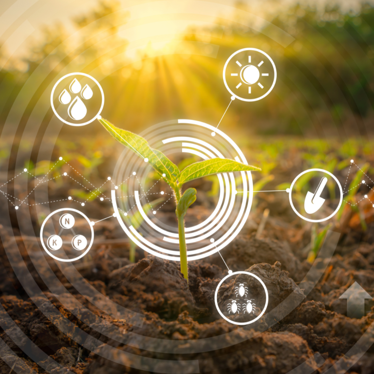 Quantum-alliance@glasgow.ac.uk – 1. Creating an interdisciplinary ...